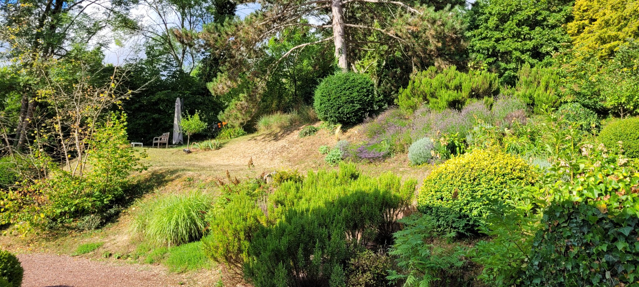 Fondation Saint Charles – ALAGH : une histoire commune qui démarre ...